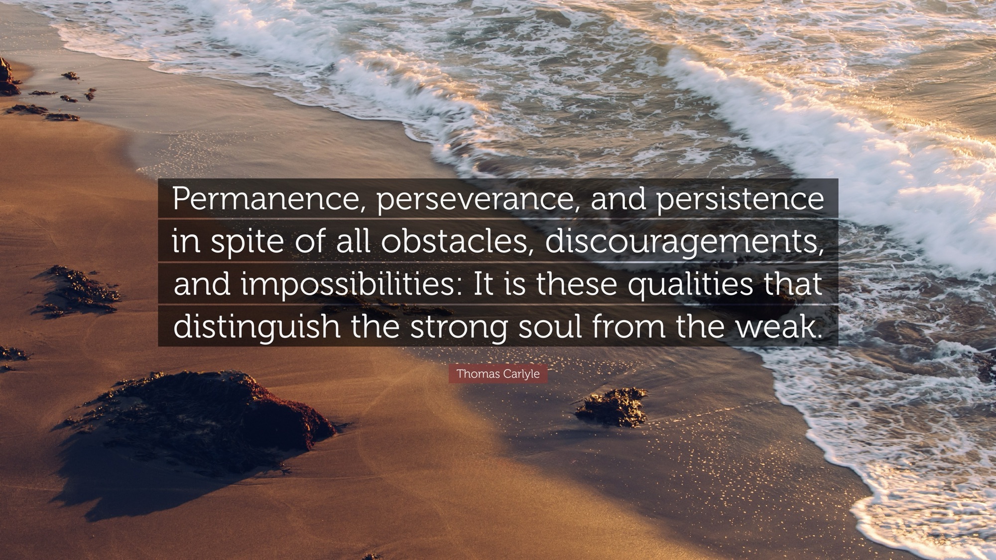 The Power of Perseverance: Turning Dreams into Reality | Lead Today